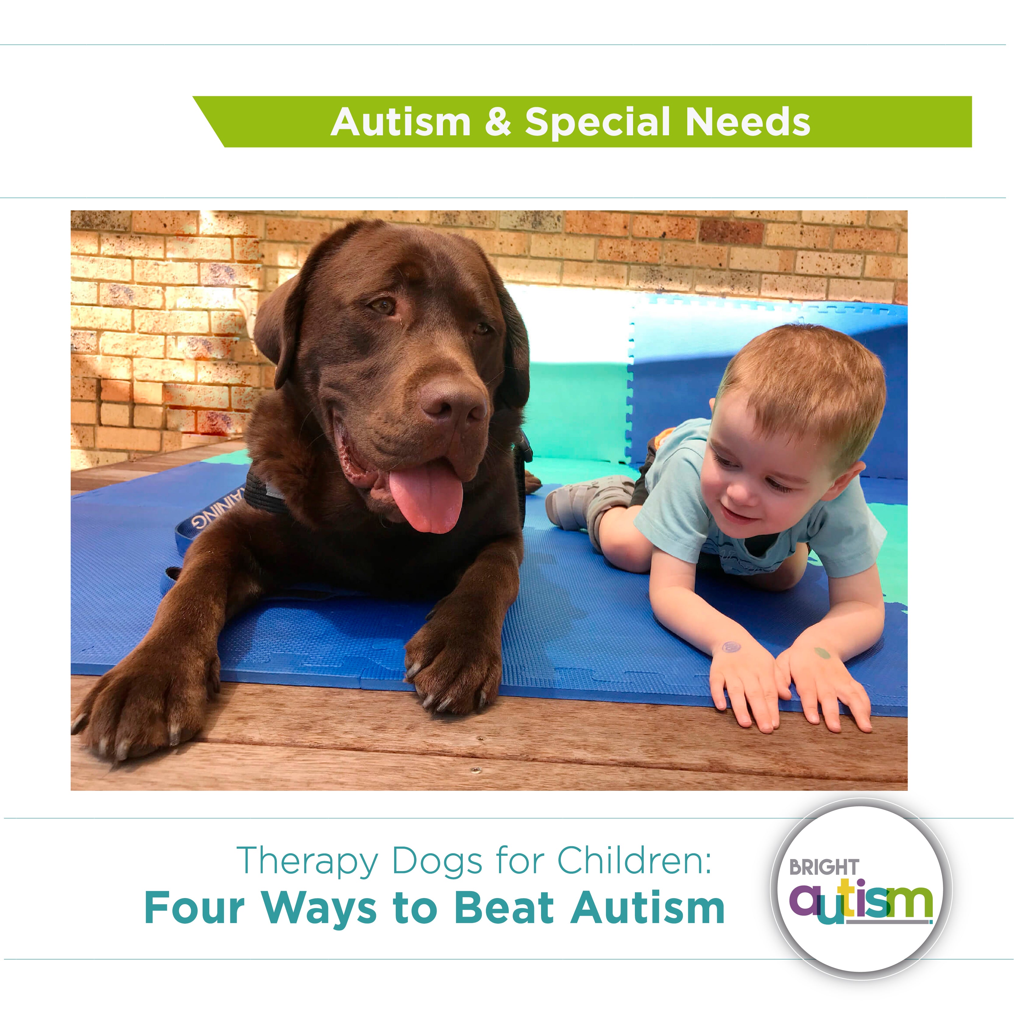 How Dogs can help children with autism? – BrightAutism