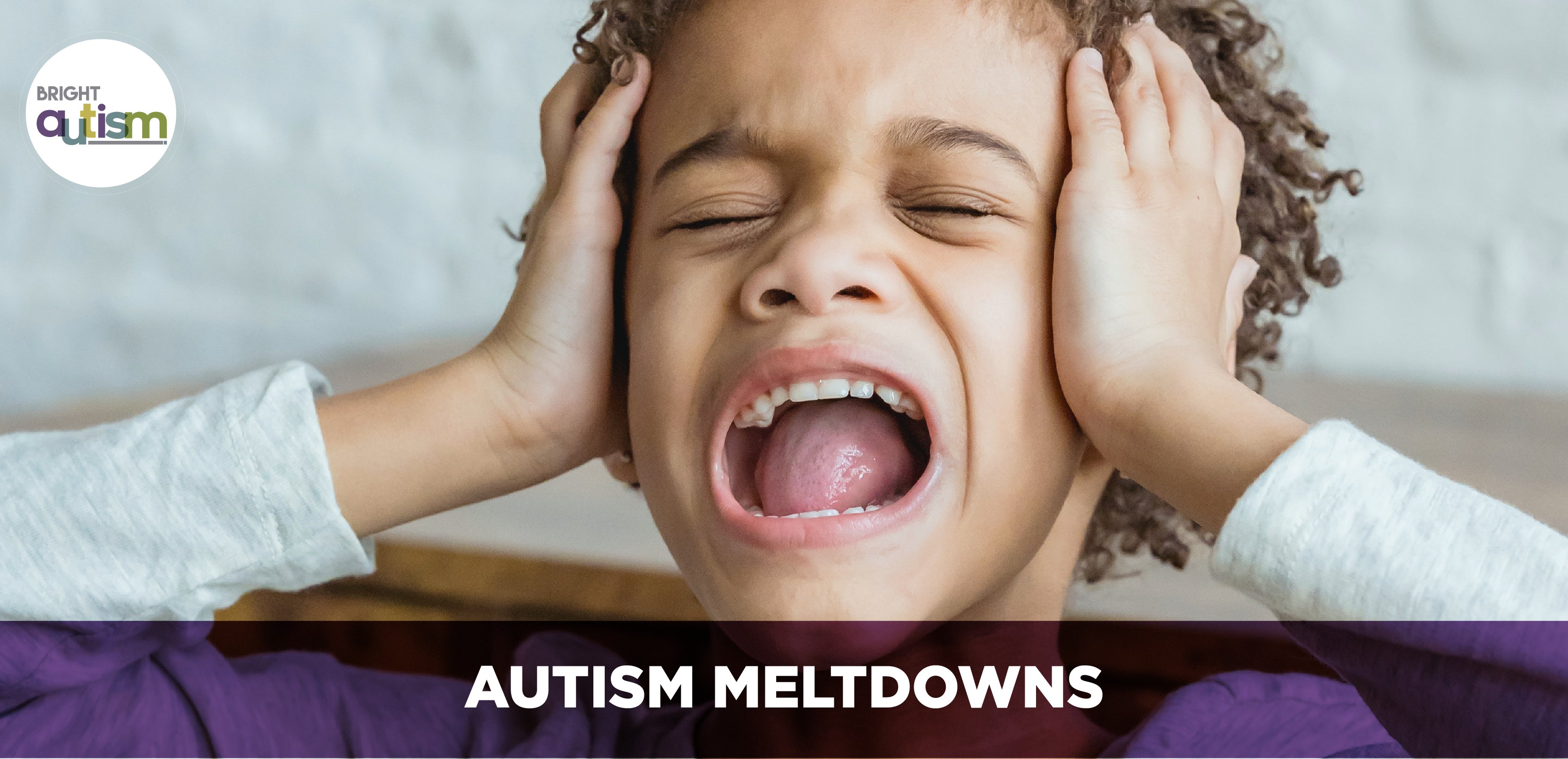 Autism Meltdowns – BrightAutism