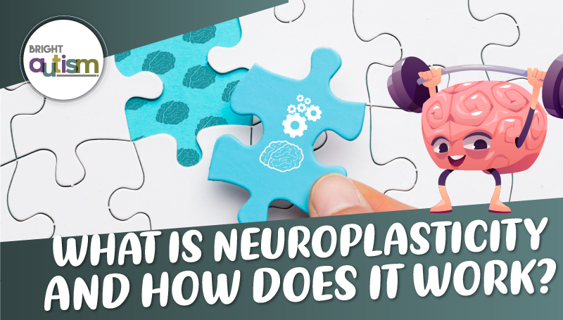 What is Neuroplasticity and How Does it Work?